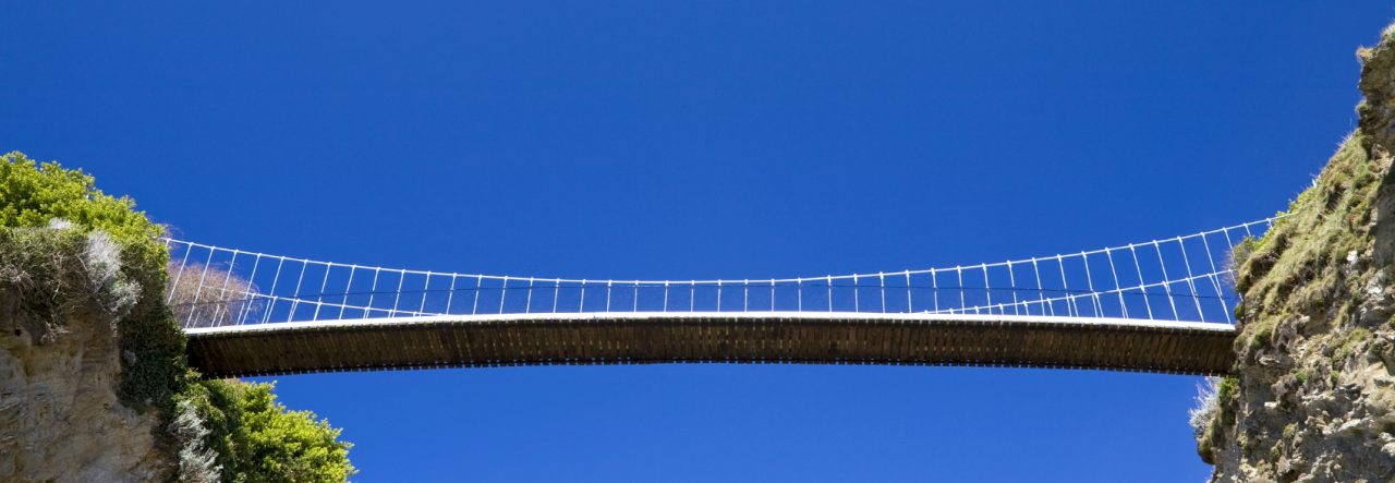 Equity Bridge – Educational Systems Strategy, Consultation, & Training